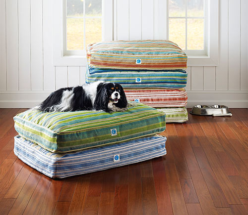 Introducing Crash Pads! – A BLOG ON COLORFUL LIVING